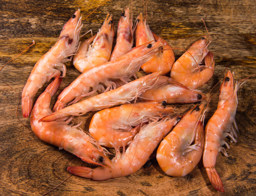 Choco, jibia o sepia, ¿conoces sus diferencias? - Llinares